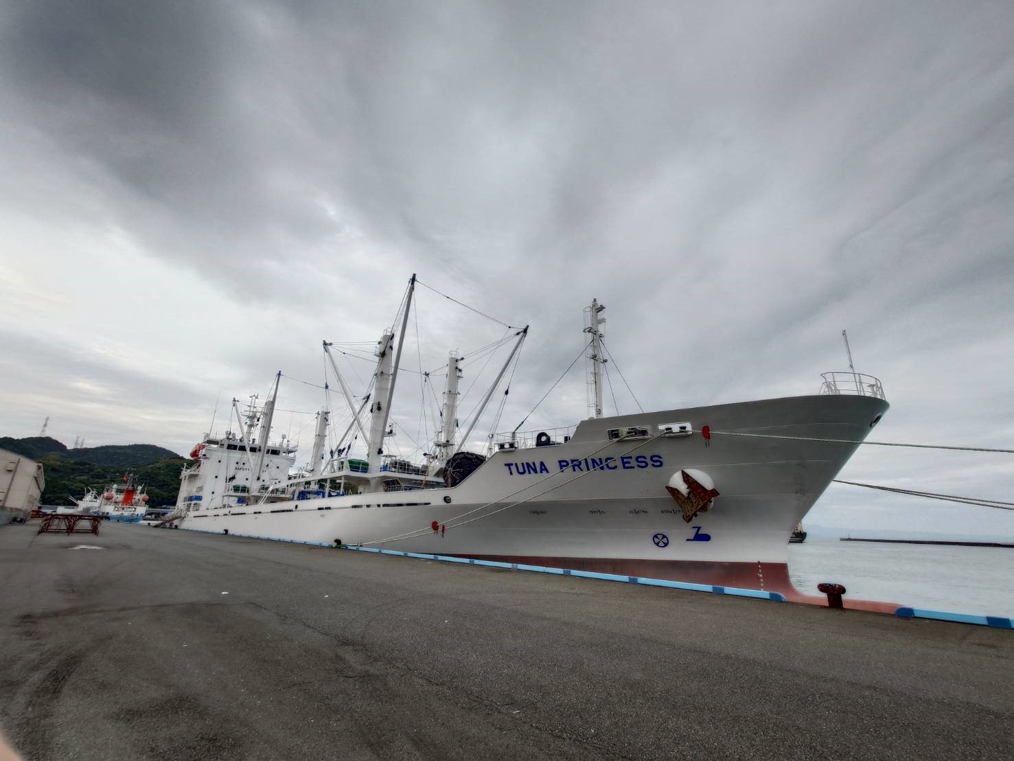 TUNA PRINCESS (VID: 12133) | Record of Fishing Vessels