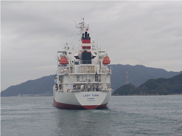 LADY TUNA (VID: 11644) | Record of Fishing Vessels