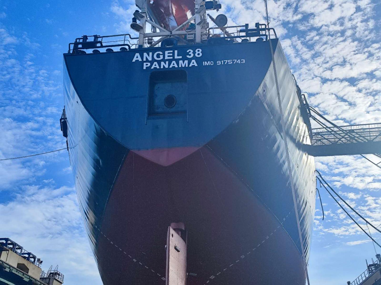 ANGEL 38 (VID: 11368) | Record of Fishing Vessels