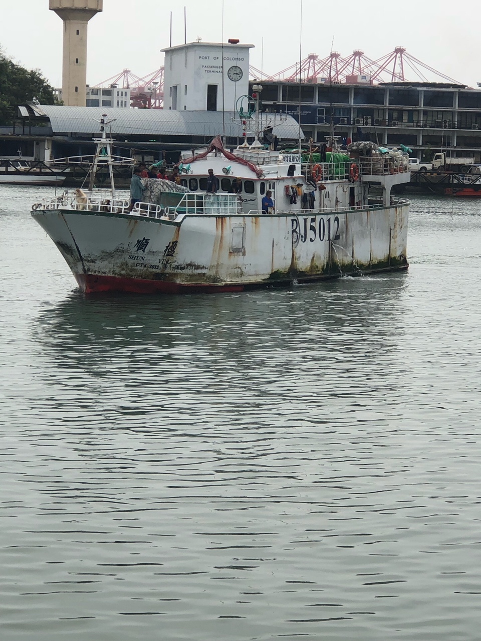 SHUN YING (VID: 4486) | Record of Fishing Vessels