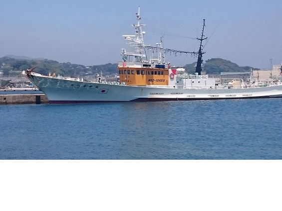 DAIEI MARU NO.8 (VID: 562) | Record of Fishing Vessels