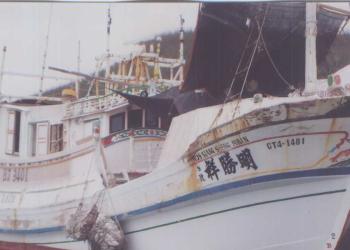 MAIN SHENG SIANG NO.8 (VID: 3251) | Record of Fishing Vessels