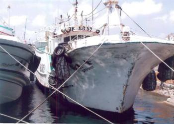 JIN DONG YI (VID: 2529) | Record of Fishing Vessels