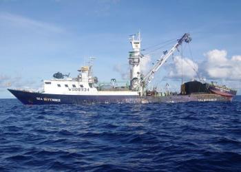 SEA DEFENDER (VID: 8774) | Record of Fishing Vessels